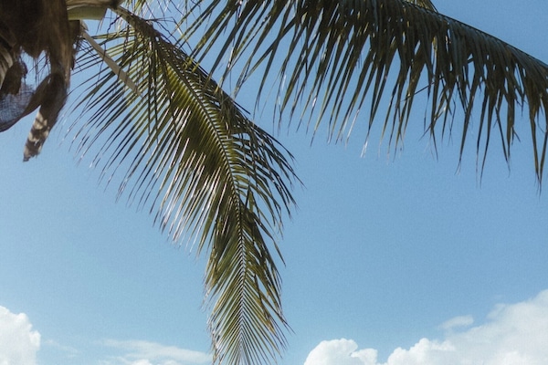 Na praia, caiaque, remo/canoagem