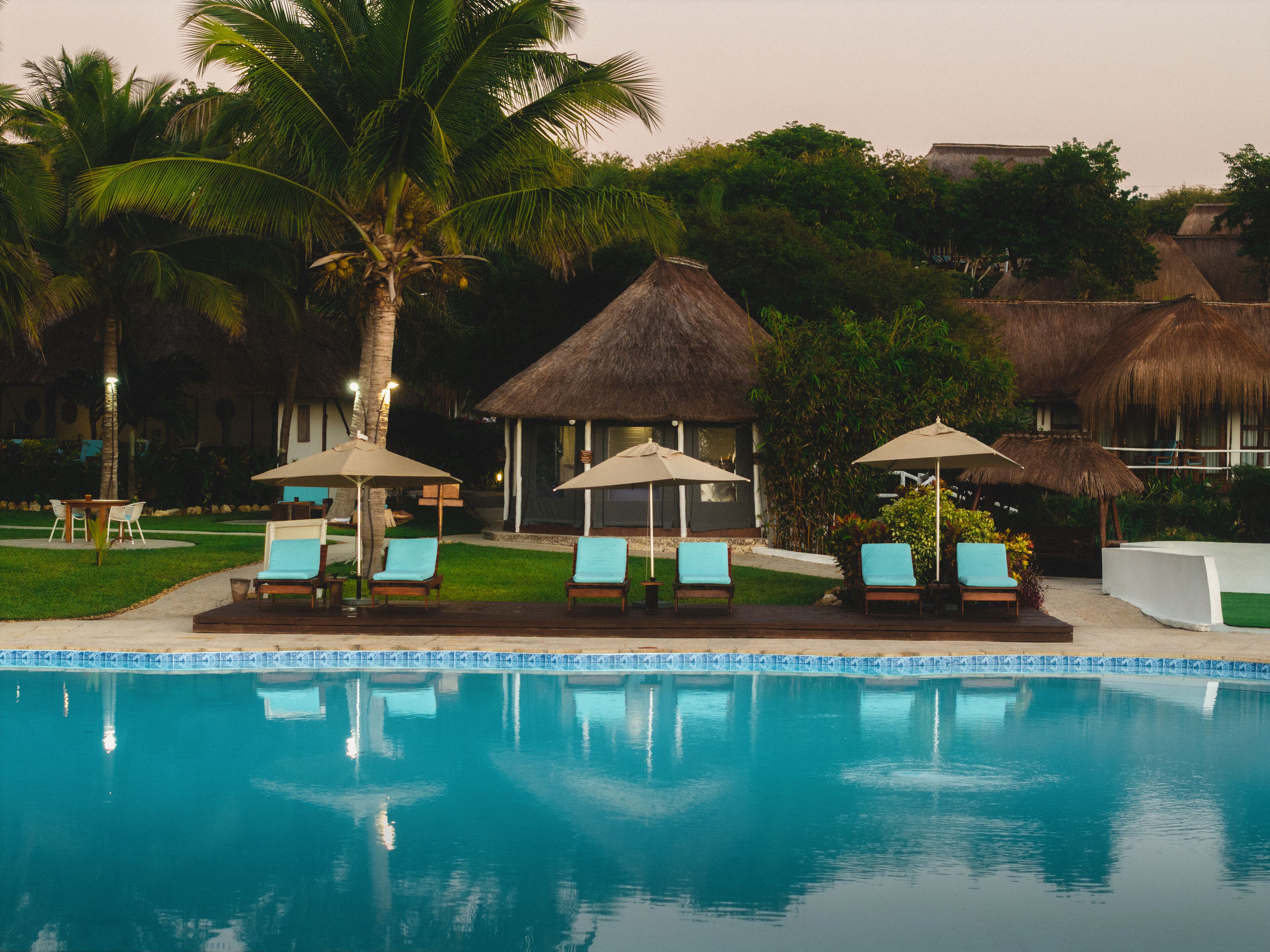Uma área junto à piscina com espreguiçadeiras e guarda-sóis, uma estrutura de telhado de palha e uma palmeira.