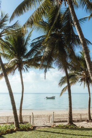 Na praia, caiaque, remo/canoagem 