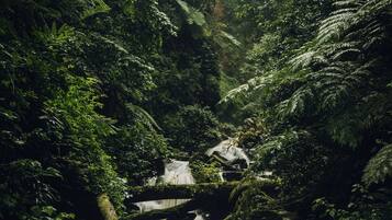 Uma floresta verdejante e exuberante, com uma cachoeira e um rio.