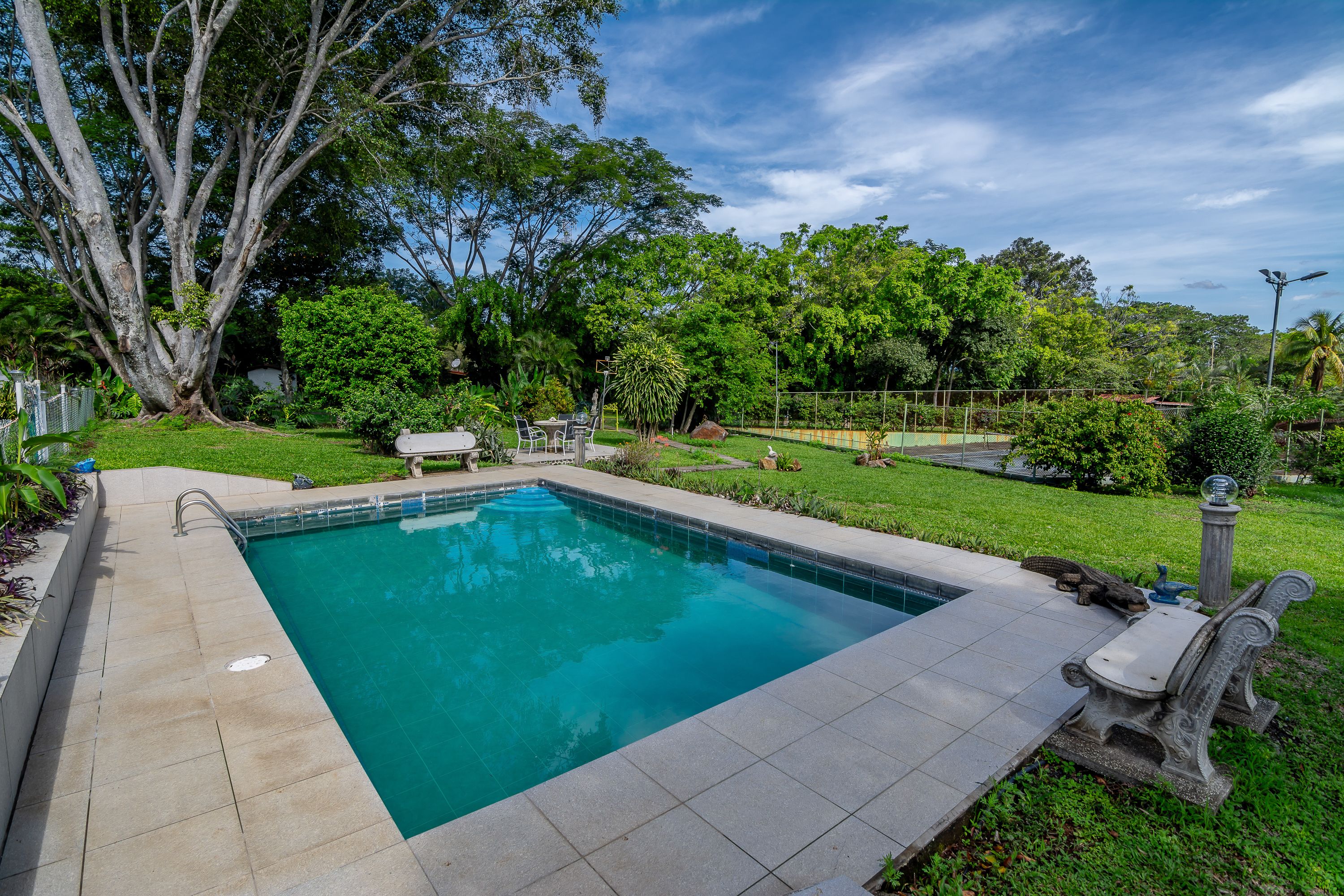 Piscina retangular com borda azulejada, rodeada por gramado e árvores.
