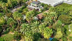Uma casa grande rodeada por vegetação tropical densa, incluindo palmeiras.