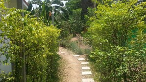 Um caminho estreito de pedras em um jardim, ladeado por vegetação densa e um edifício.