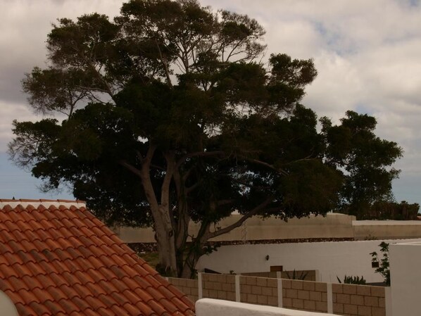 Vista do alojamento