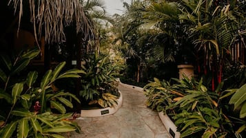 Terrenos do alojamento