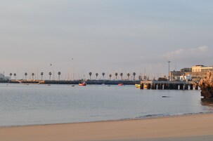 Cena costeira com uma praia arenosa, uma fileira de palmeiras e vários barcos ancorados perto de um cais.