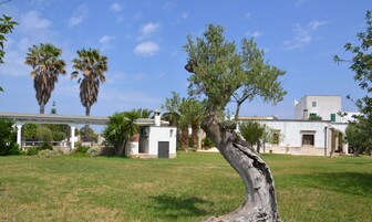 Um jardim com diversas árvores, um edifício branco com telhado plano e uma parede de pedra.