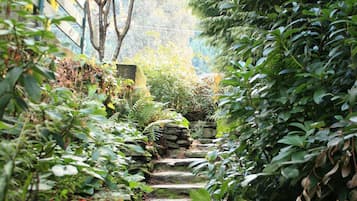 Jardim