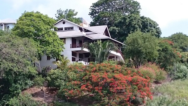 The Nest Tobago Apartments - Tobago