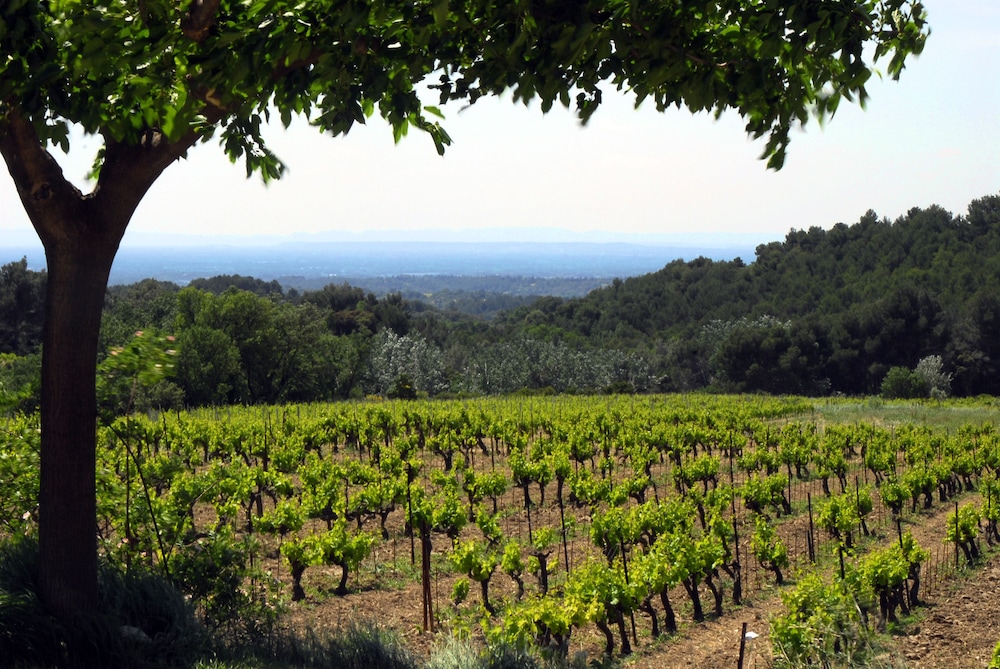 Le Clos Gîte Am Fuße Der Dentelles De Montmirail -15% Vom 24 Bis 31/08 - Vaucluse