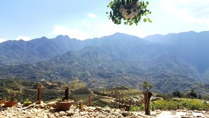 Campos em socalcos, paisagem montanhosa e plantas em vasos.