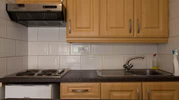 Loft Básico, 1 cama de casal, Vista para a cidade | Kitchenette privada | Um frigorífico, um micro-ondas, uma placa de cozinha