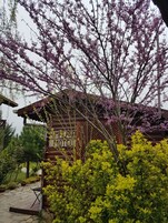 Jardim