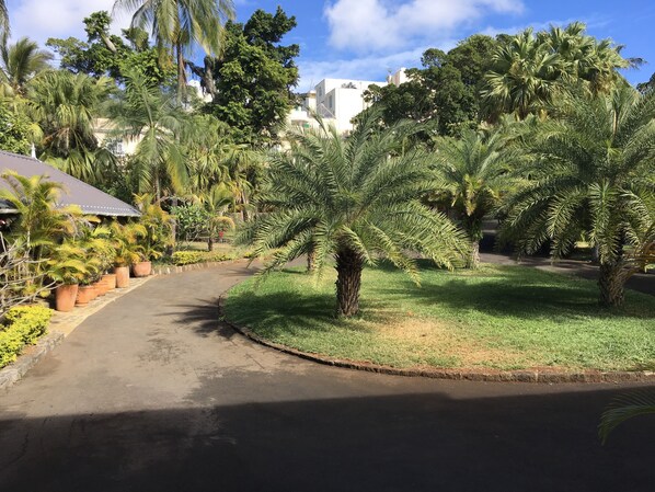 Área da propriedade