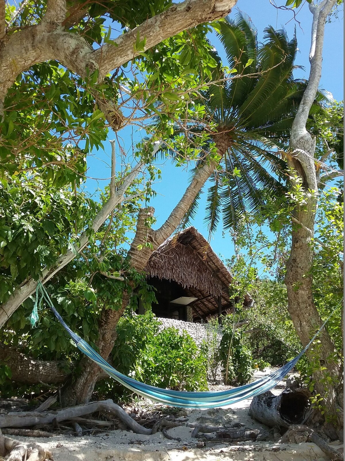 Tranquility Island Resort: 2023 Room Prices, Deals & Reviews | Expedia.com