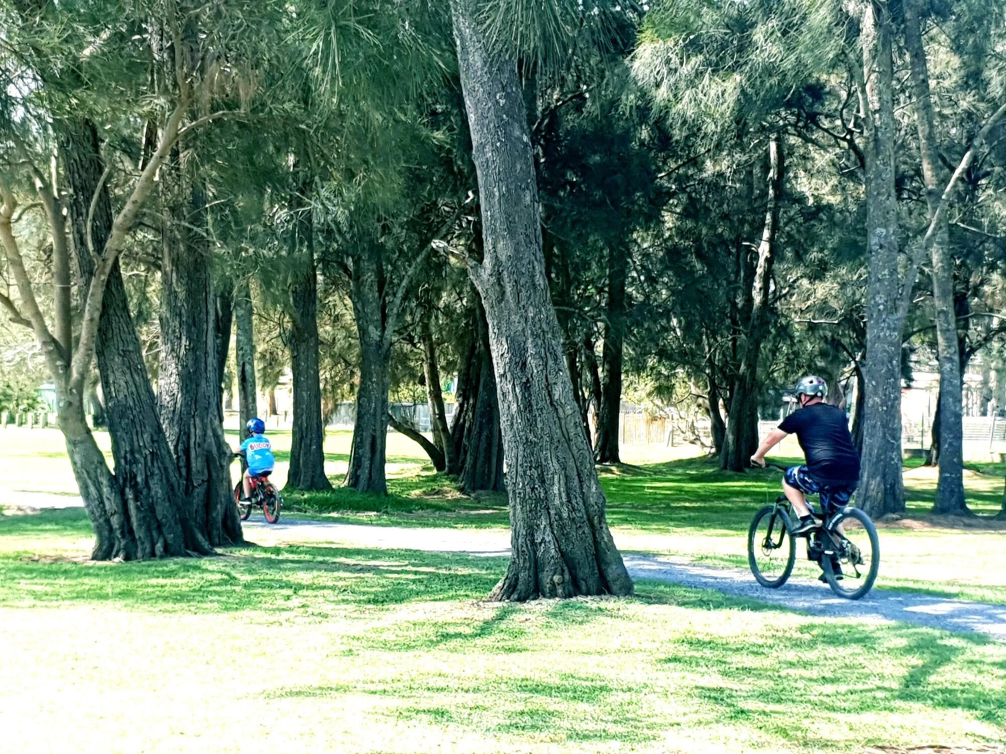 Um parque com árvores e um caminho.