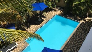Piscina retangular com borda azulejada, cercada por palmeiras e um caminho com padrão.