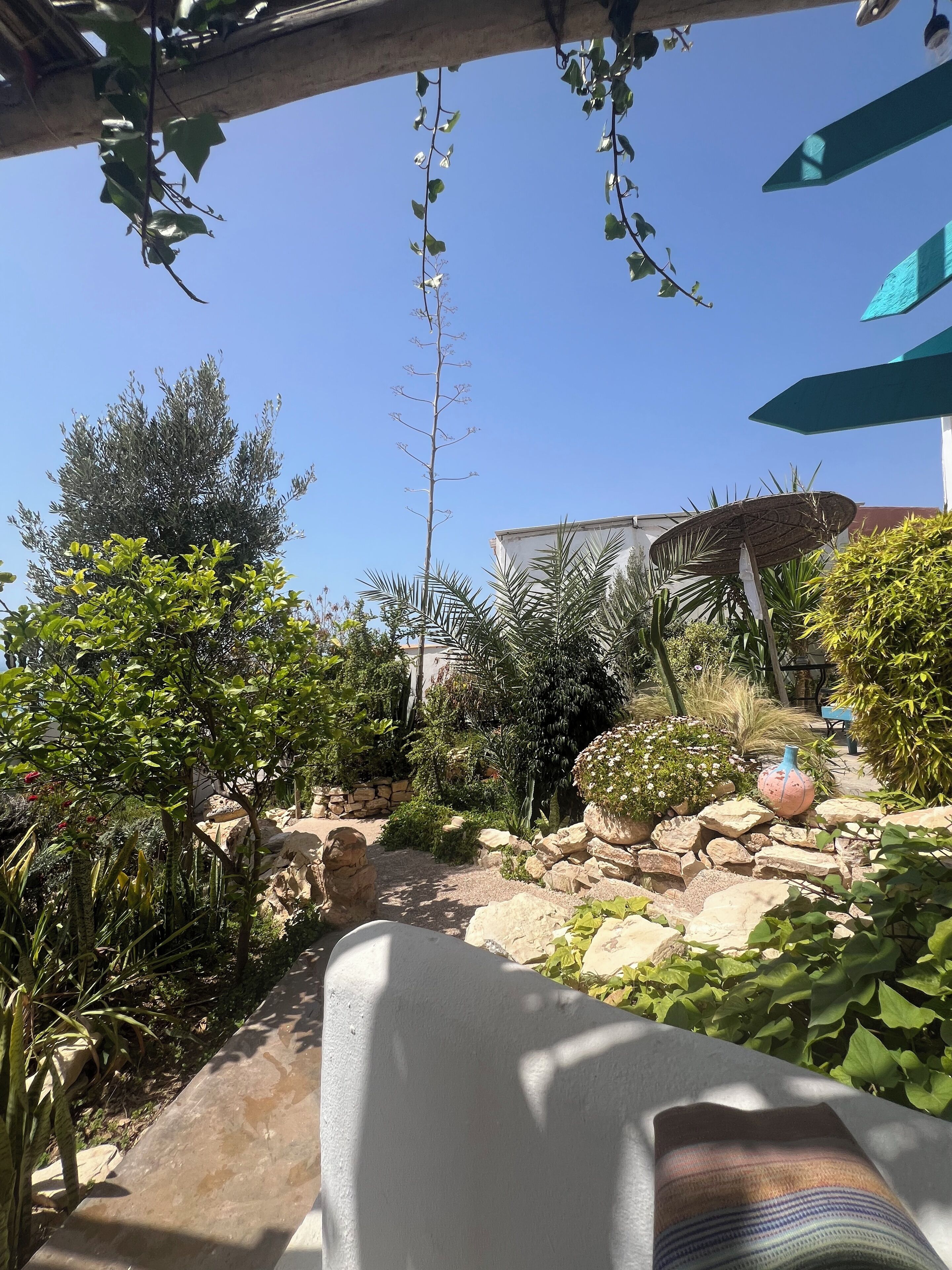 Um jardim com diversas plantas, um muro de pedra e um edifício ao fundo.