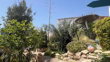 Um jardim com diversas plantas, um muro de pedra e um edifício ao fundo.