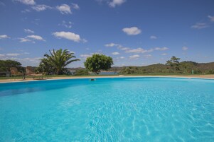 Piscina azul e límpida com cadeiras de descanso e palmeiras ao fundo.