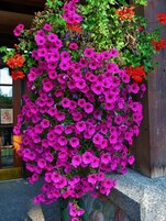 Entrada da propriedade