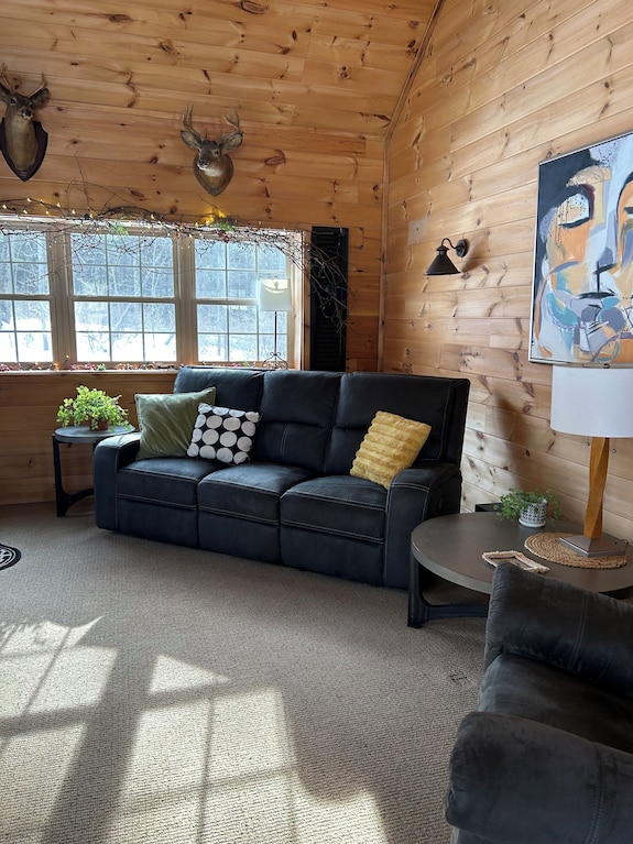 Increíble Casa / Cabaña En El País Del Vino! ¡Mascota Amigable! - Naples, NY