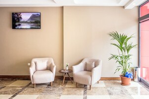 Um quarto com duas poltronas, uma mesinha redonda com um vaso e uma grande planta em vaso.