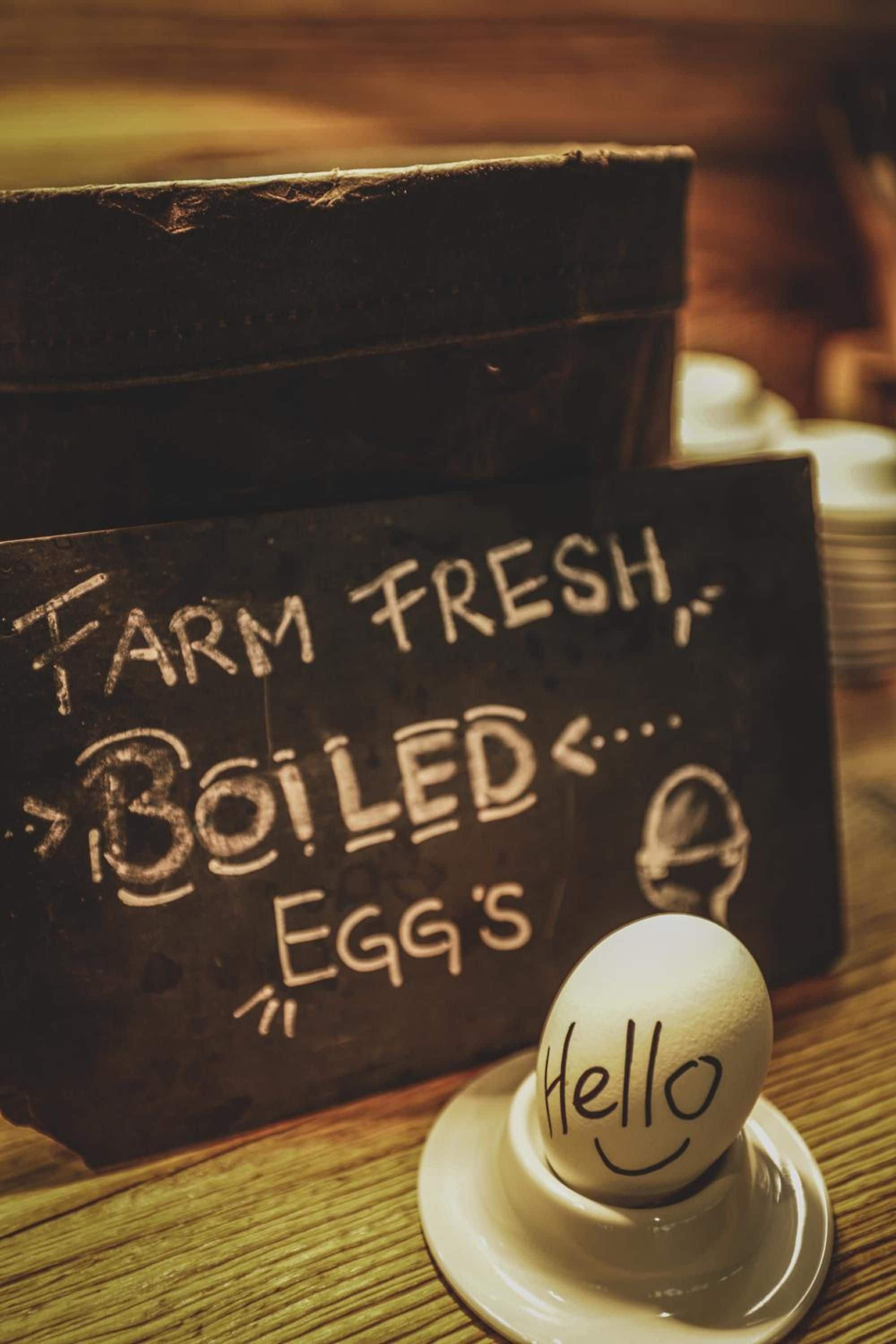 Quadro negro com a inscrição 'Farm Fresh Boiled Eggs', um ovo de cerâmica com a palavra 'Hello' e uma pilha de moedas.