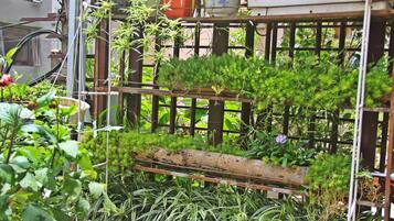 Jardim