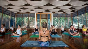 Uma aula de yoga em um espaço com piso de madeira e janelas amplas.