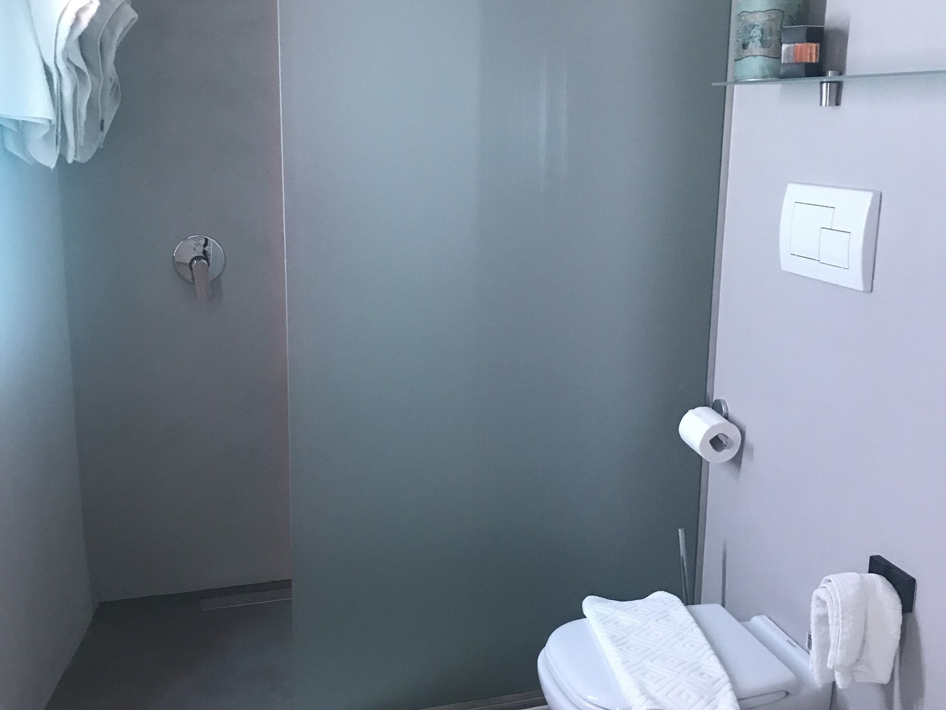 Casa de banho com chuveiro de porta de vidro, sanita, suporte de toalhas e dispensador de sabonete na parede.