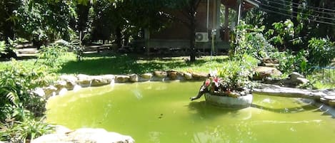 Terrenos do alojamento