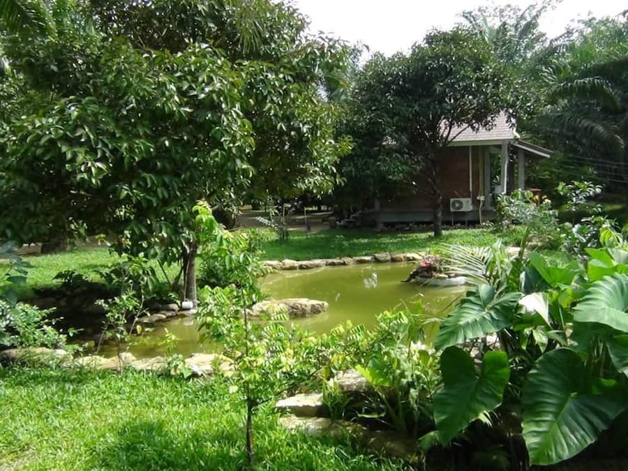 Jardim