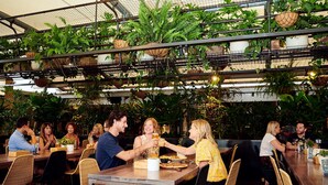 Restaurante com várias mesas, cadeiras de vime e plantas penduradas.