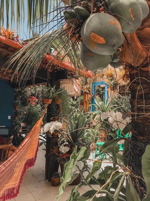 Terraço/pátio interior