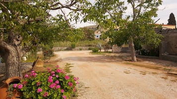 Jardim
