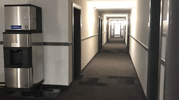 Entrada