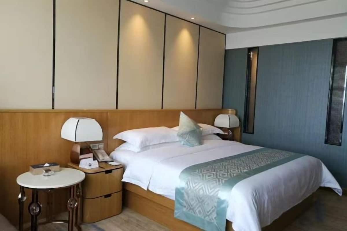 Roupa de alta qualidade, edredões de penas, minibar, cofre no quarto 