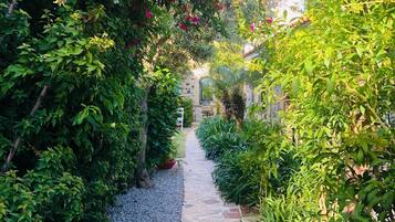 Jardim