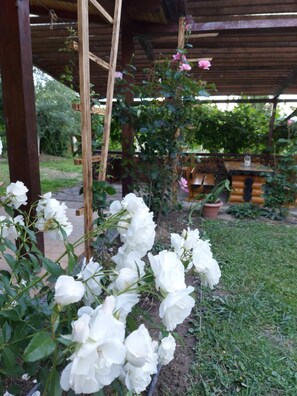 Terrenos do alojamento