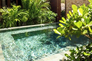 Piscina límpida com borda de pedra, rodeada por plantas verdes exuberantes.
