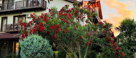 Fachada do alojamento