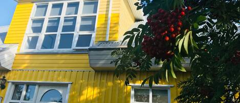 Fachada do alojamento (tarde/noite)