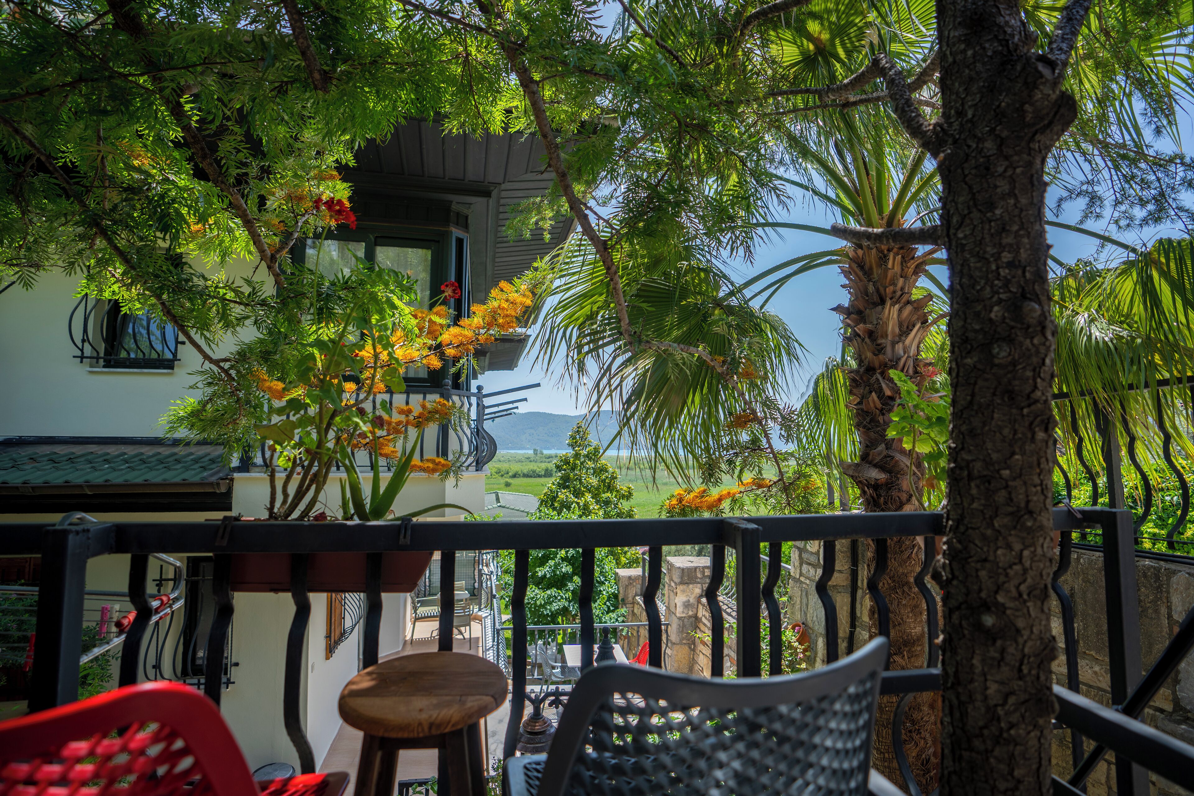 Uma varanda com vista para uma casa, uma palmeira e uma cadeira.