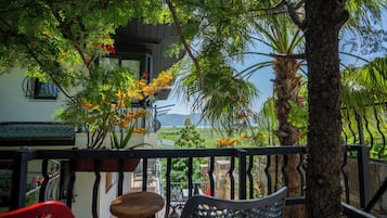 Uma varanda com vista para uma casa, uma palmeira e uma cadeira.