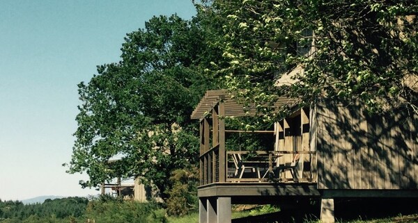 Spalazen Nature - Lot