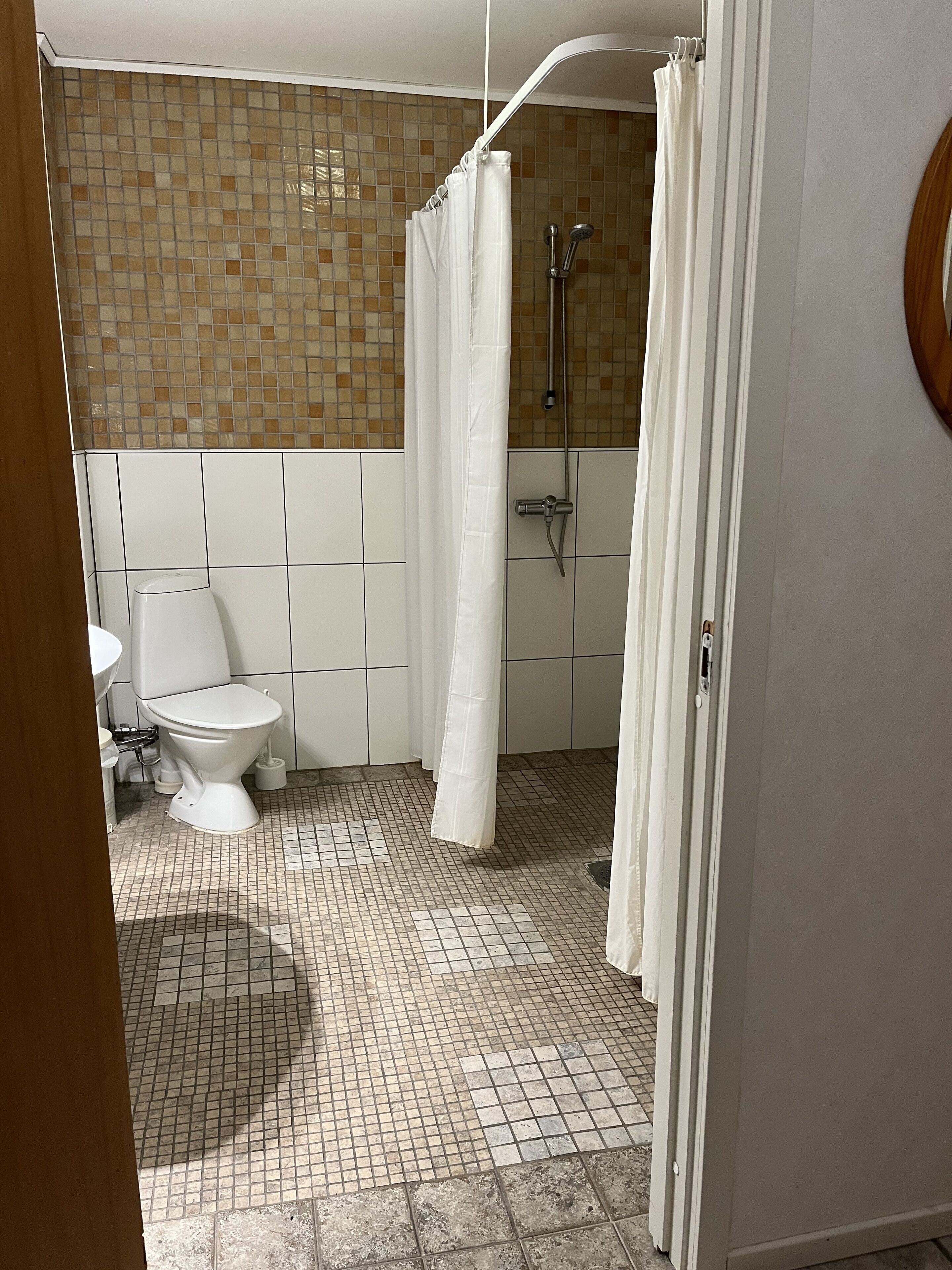 Casa de banho com sanita, chuveiro e chão em azulejos.