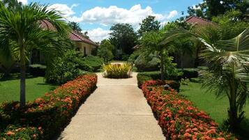 Jardim