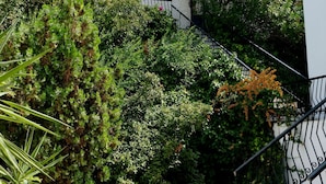 Uma escadaria com corrimão de metal leva a uma varanda, rodeada por vegetação exuberante e uma parede branca.