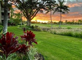 Condo, 2 quartos | Área da propriedade